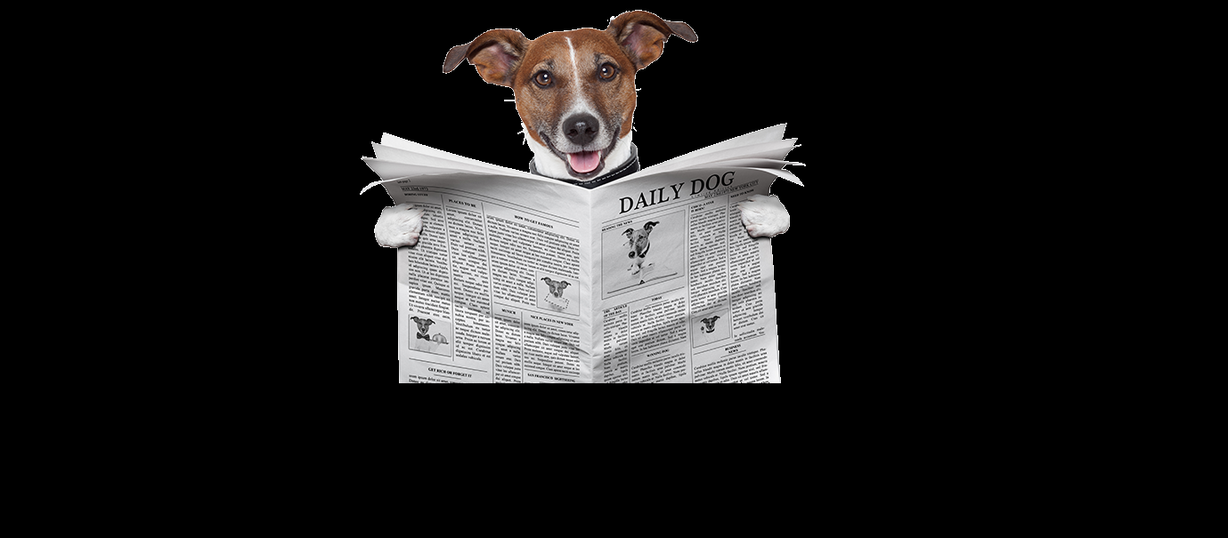 Dog Reading Paper Dog Reading Newspaper On Toilet – Unpaws